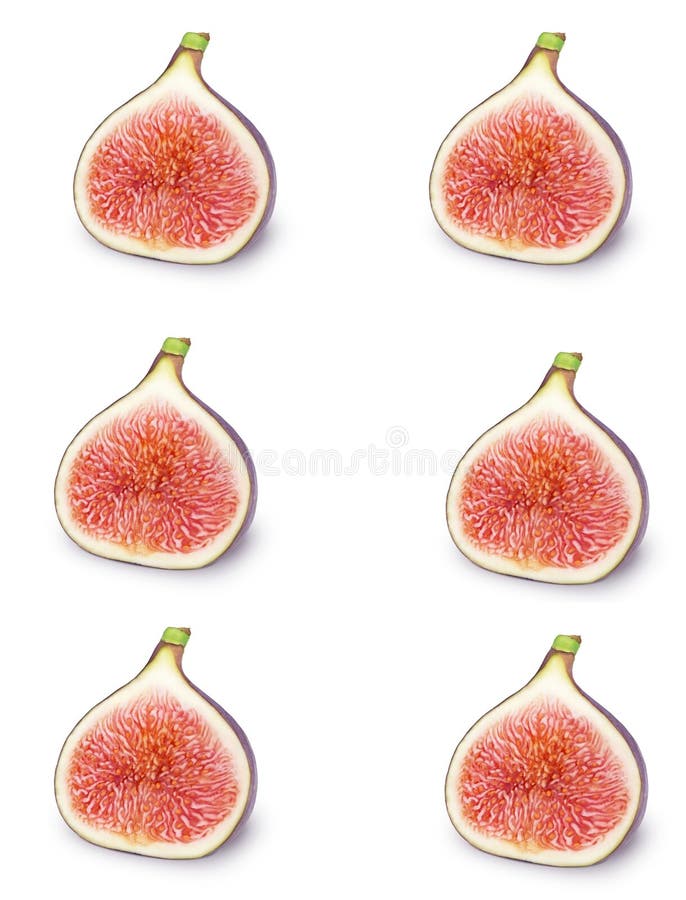 3D Illustration of a Group of Fig Fruit. Stock Image - Image of banner ...