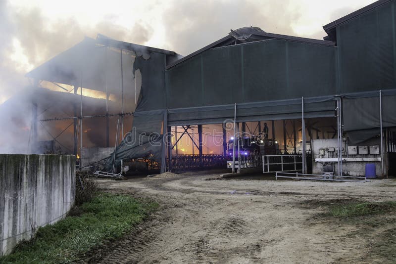 Group of Firefighters Putting Off the Fire in a Farm Editorial Stock ...