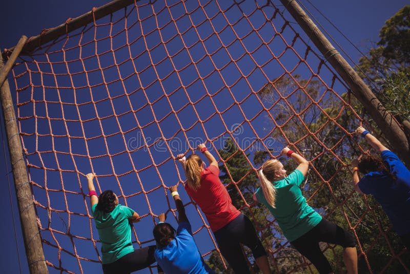 Group of Fit Woman Climbing a Net during Obstacle Course Training Stock ...