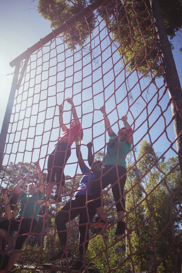 Group of Fit Woman Climbing a Net during Obstacle Course Training Stock ...
