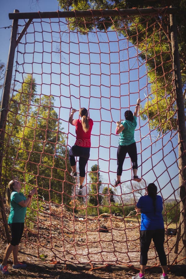 Group of Fit Woman Climbing a Net during Obstacle Course Training Stock ...