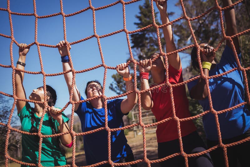 Group of Fit Woman Climbing a Net during Obstacle Course Training Stock ...