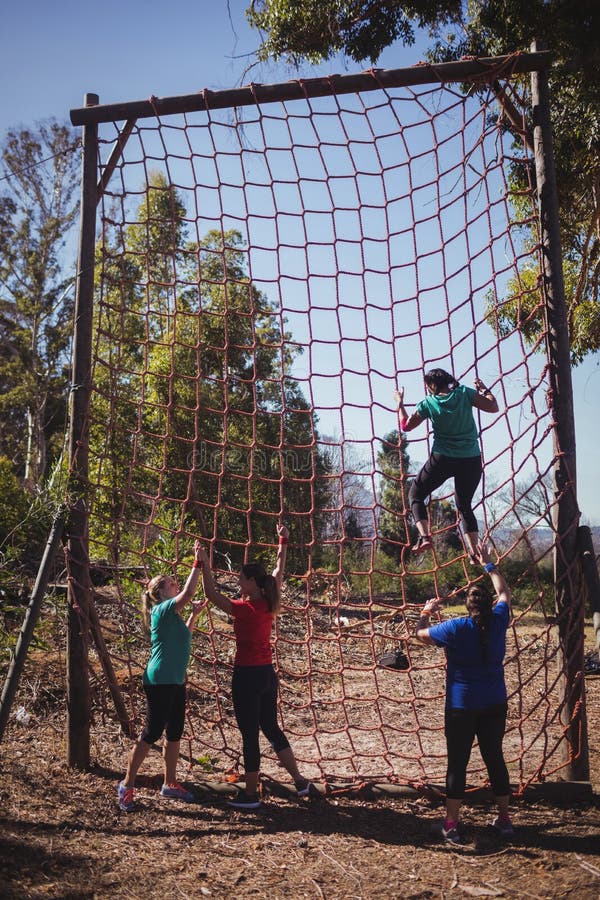 Group of Fit Woman Climbing a Net during Obstacle Course Training Stock ...