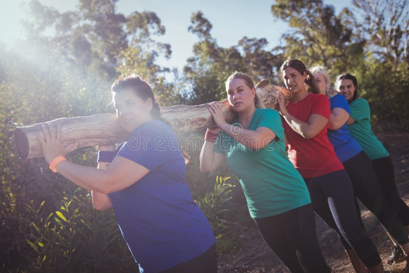 Group of Fit Women Carrying a Heavy Wooden Log during Obstacle Course ...