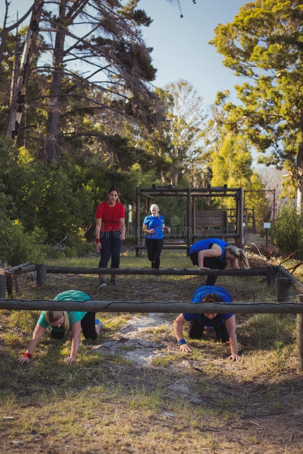 Group of Fit Women Crawling Under the Net during Obstacle Course ...