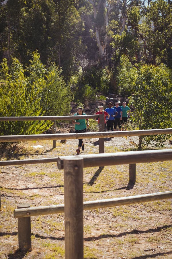 Group of Fit Women Training on Fitness Trail Stock Image - Image of ...