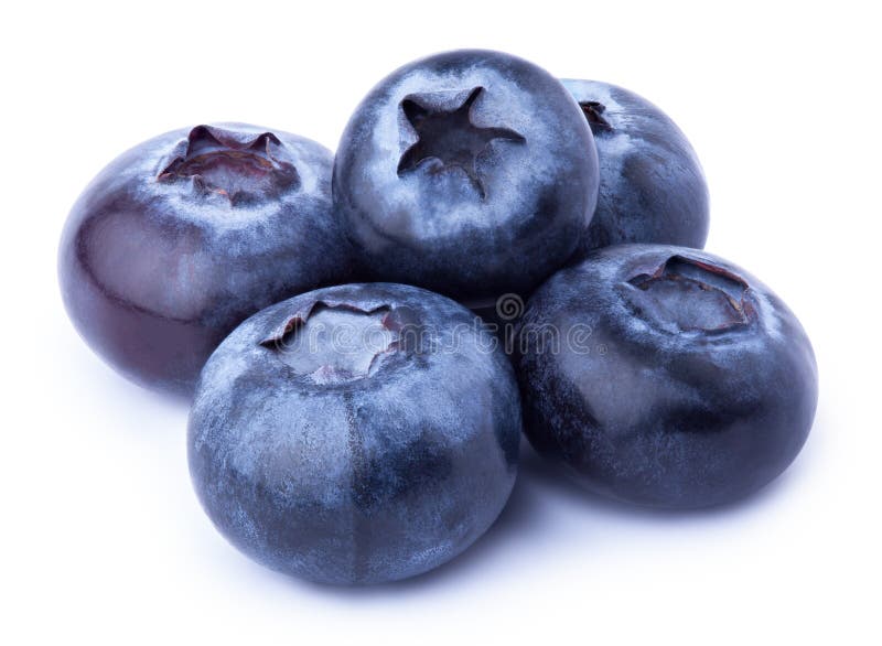 Five Blueberries with Leaves Isolated Stock Image - Image of isolated, white: 84679525