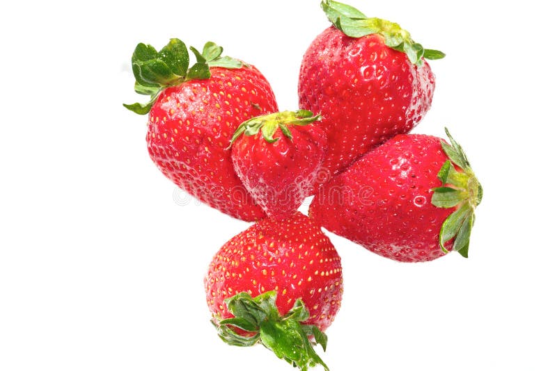 Group of Five Strawberries, on White Background Stock Photo - Image of ...