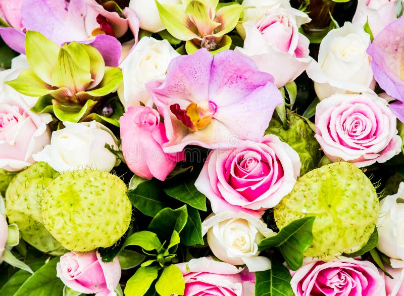 Group of flower stock image. Image of petal, summer, bloom - 73894699