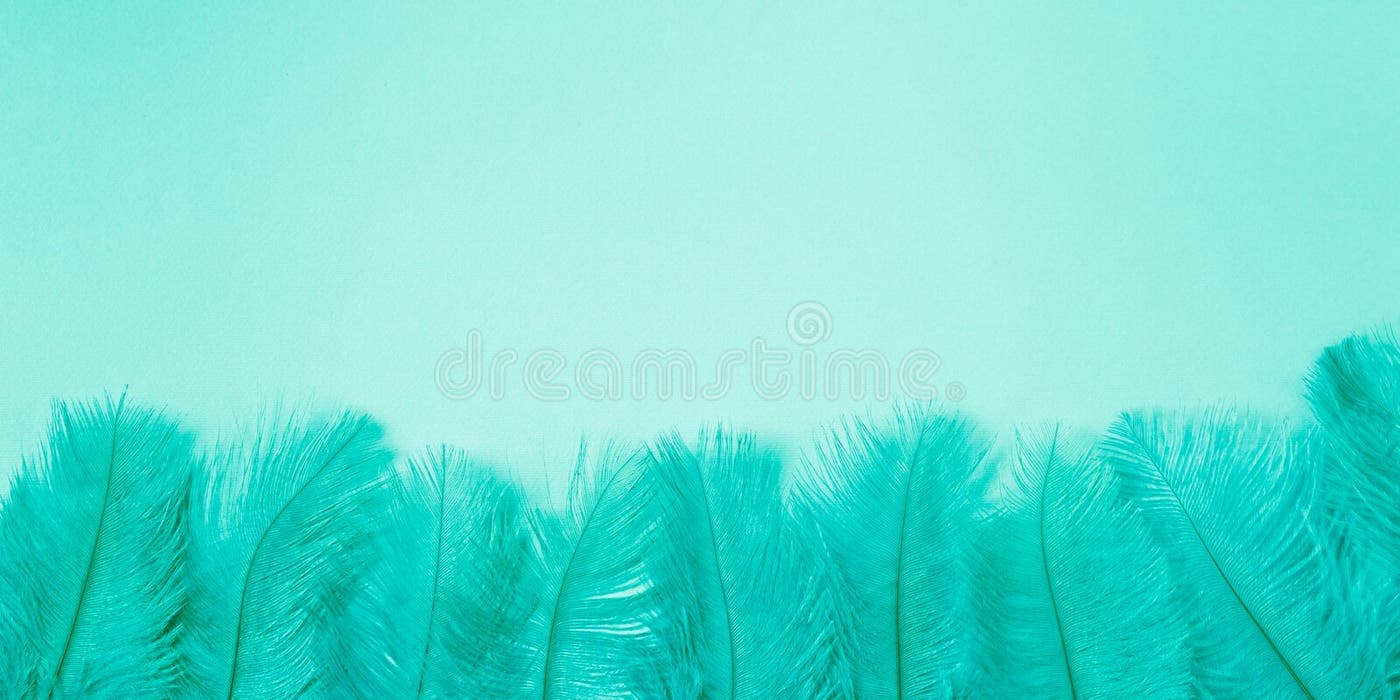 3,253 Feathers Border Stock Photos - Free & Royalty-Free Stock Photos ...