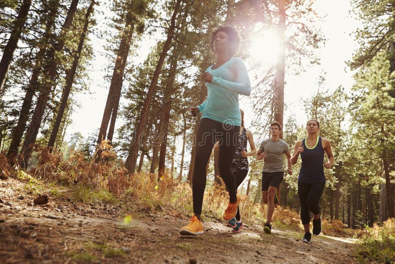 Group of Four Adults Running in a Forest, Low Angle View Stock Photo ...