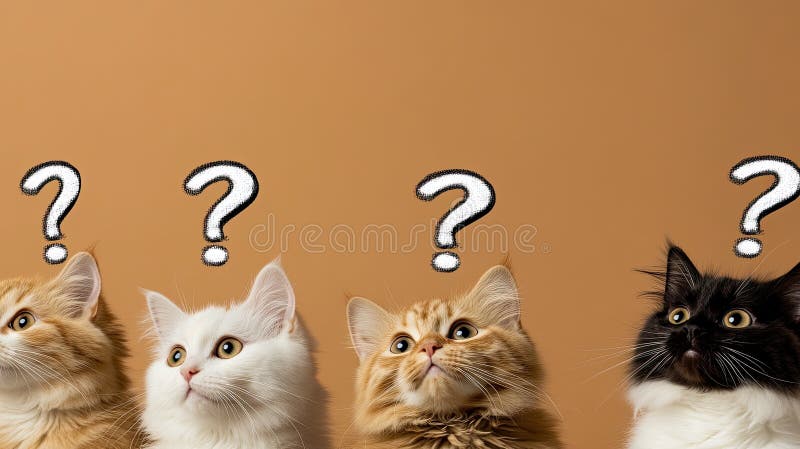 A Group of Four Cats Illustrates Curiosity, Each with Distinct Fur ...