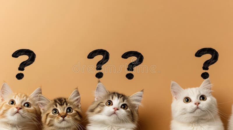 A Group of Four Cats Illustrates Curiosity, Each with Distinct Fur ...