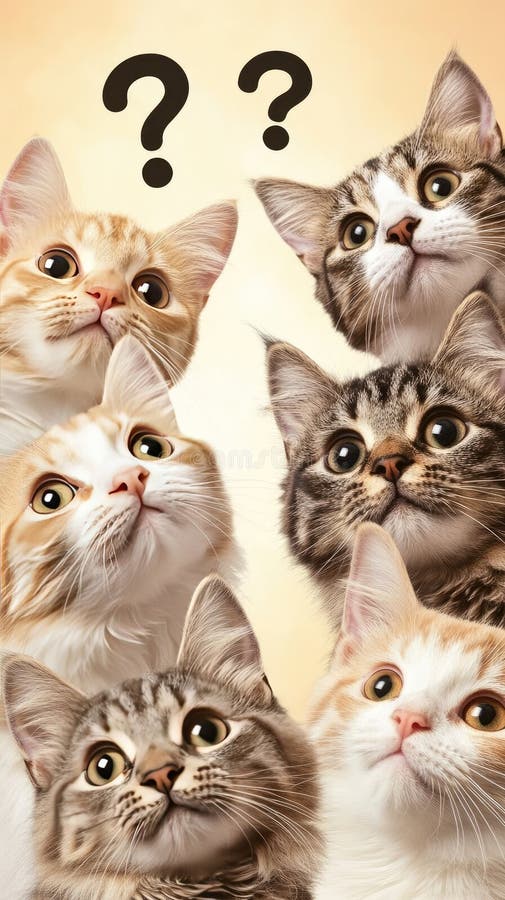 A Group of Four Cats Illustrates Curiosity, Each with Distinct Fur ...