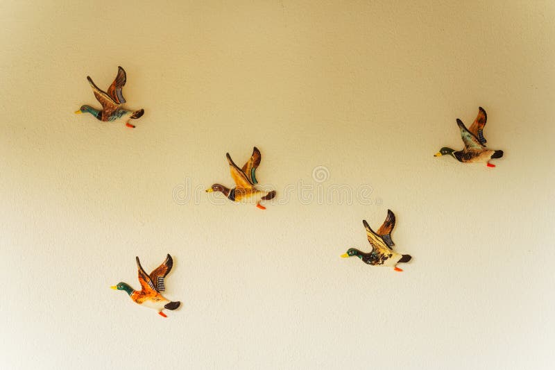 A Group of Four Ducks is Flying in a Straight Row on a Wall Stock Photo ...