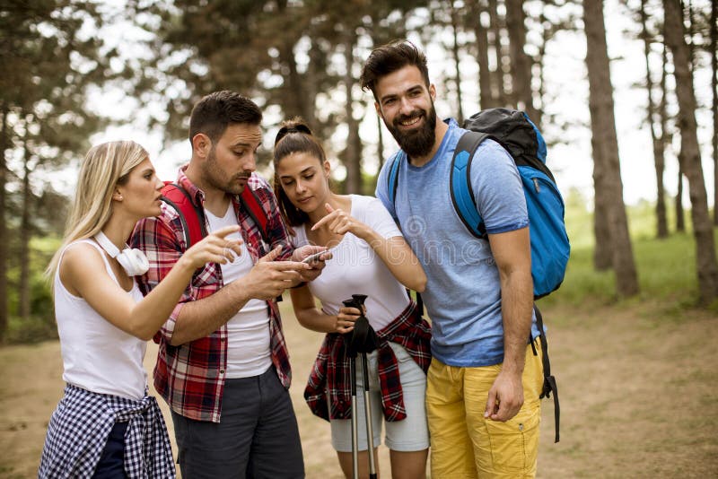 Group of Four Friends Hiking Together through a Forest Stock Image ...