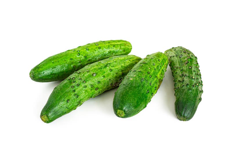 Bumpy Cucumbers Photos - Free & Royalty-Free Stock Photos from Dreamstime