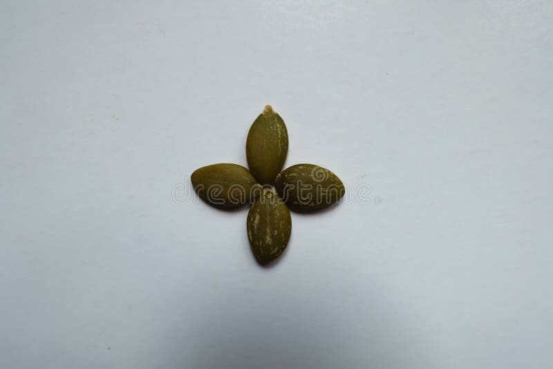 Group of Four Kernels of Pumpkin Seeds Stock Photo - Image of fresh ...