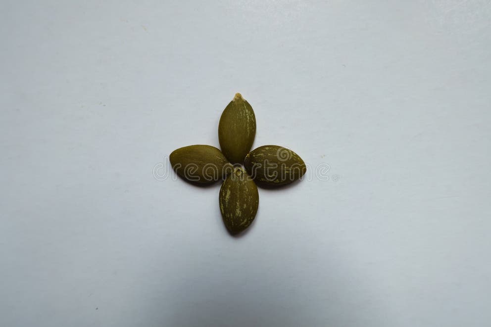 Group of Four Kernels of Pumpkin Seeds Stock Photo - Image of fresh ...