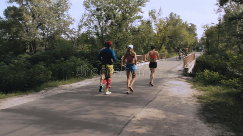 Group of Four People Running in the Park at Sunrise Stock Video - Video ...