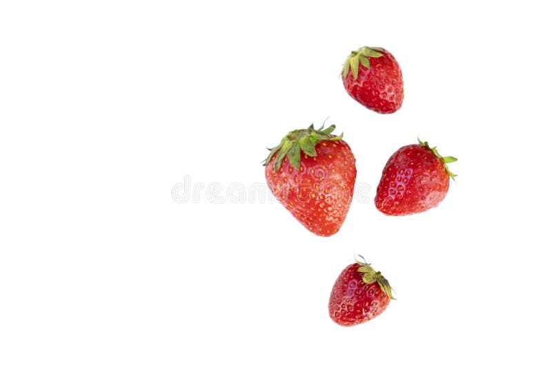 Four strawberries stock image. Image of four, white, clean - 77509591