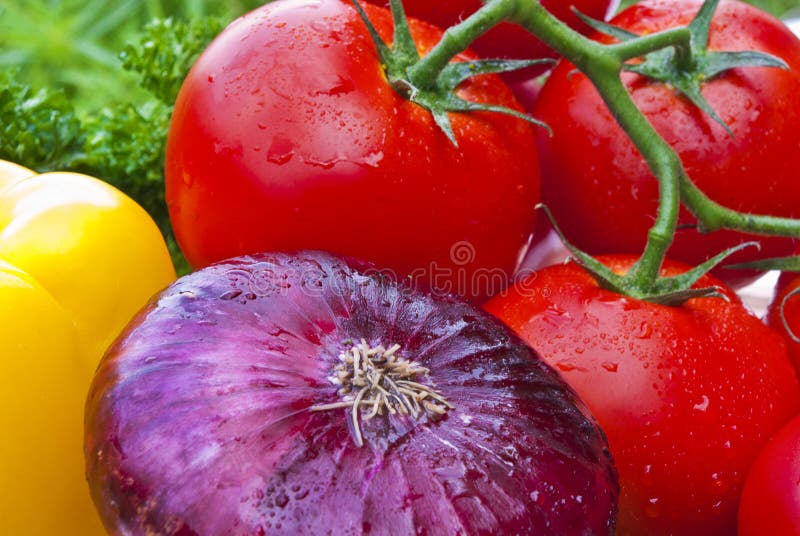 Group of frash vegetables stock photo. Image of herbs - 27077944