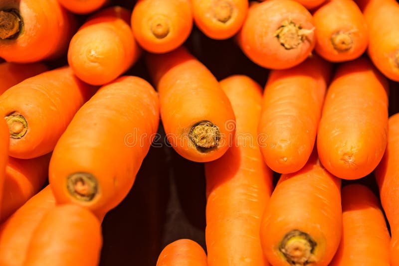 Group of Fresh Big Carrots, Carrots Harvest Stock Image - Image of ...