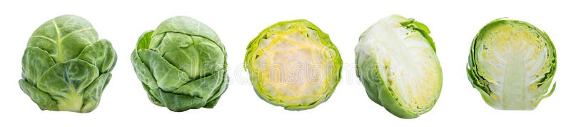 Group of Fresh Brussels Cabbage Stock Photo - Image of cabbage ...