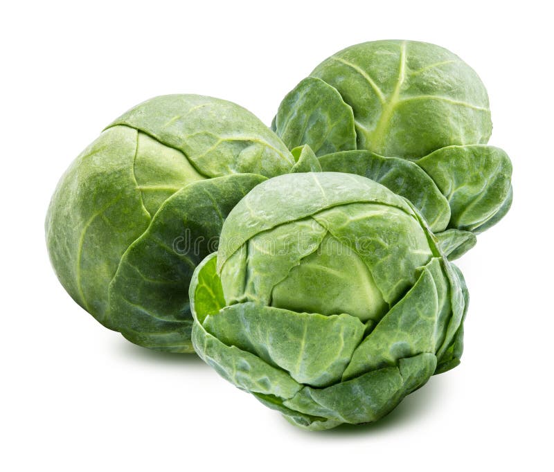 Group of Fresh Brussels Cabbage Stock Photo - Image of nutritious ...