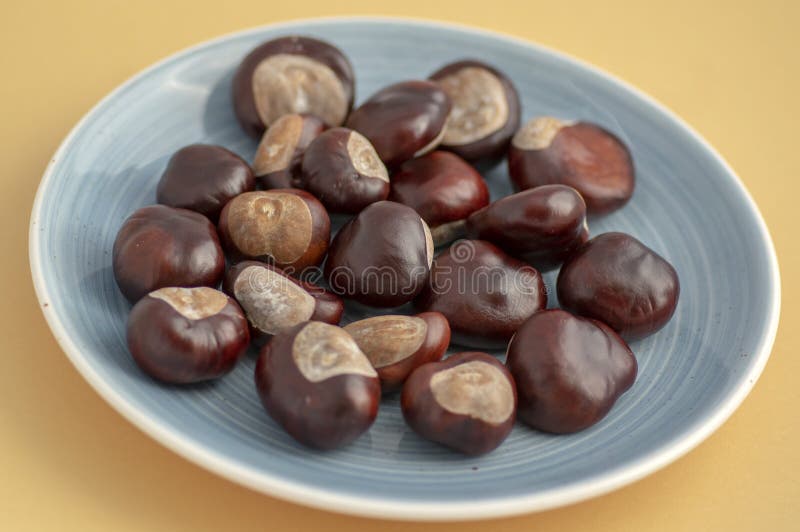 Group of Fresh Chestnuts and Walnuts on White Plate on the Table, Nuts ...