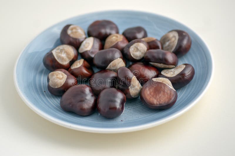 Group of Fresh Chestnuts on Blue Table, Nuts One by One Spread on Light ...