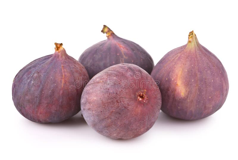 Group of fresh figs stock image. Image of food, shot - 27286579