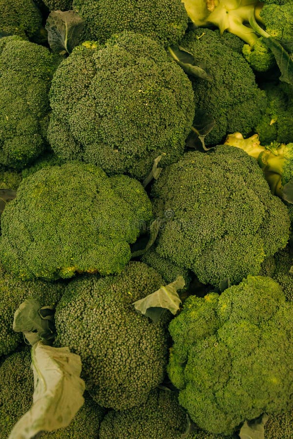 Group of Fresh Green Broccoli Editorial Stock Image - Image of ...