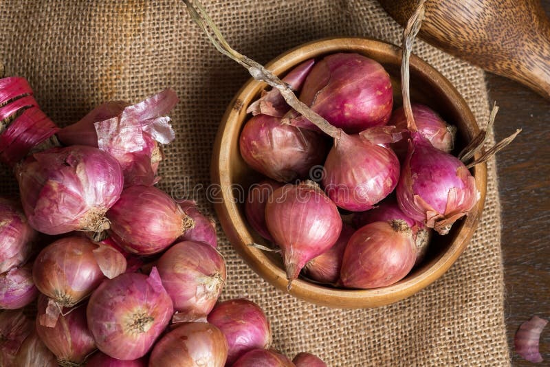 Group of Fresh Organic Shallots Stock Photo - Image of onions, harvest ...