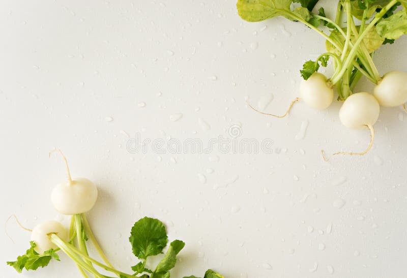 Group of Fresh Radishes on White Background Stock Image - Image of ...
