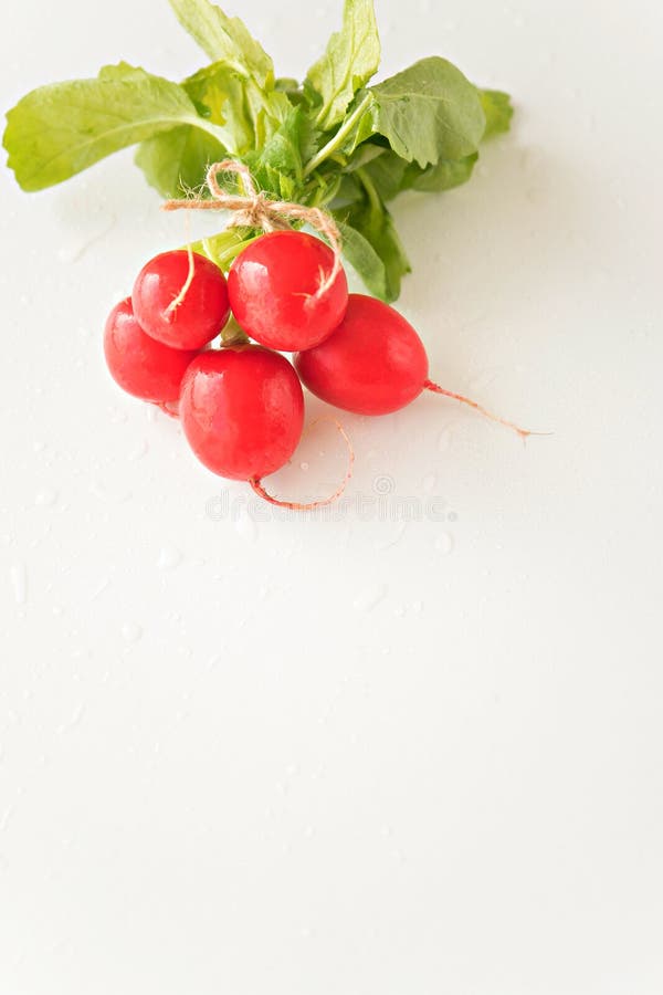 Group of Fresh Radishes on White Background Stock Image - Image of ...