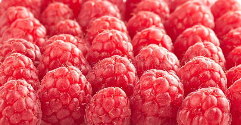 Group of fresh raspberries stock image. Image of organic - 54100841