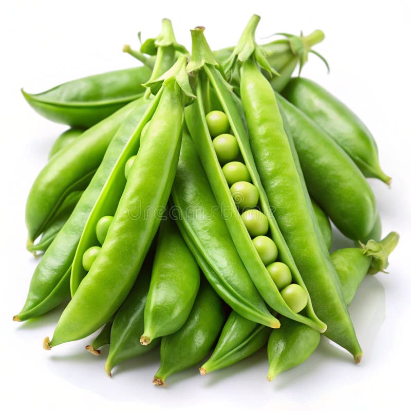 Fresh snow peas isolated stock illustration. Illustration of snow ...