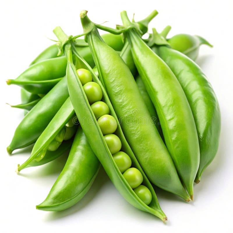 Fresh snow peas isolated stock illustration. Illustration of crisp ...