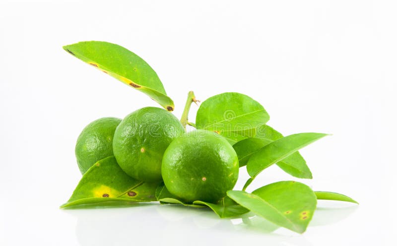 Group of Fresh Ripe Lime with Leaves. Stock Image - Image of background ...