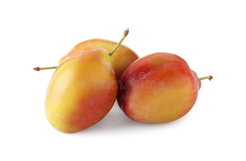 Group of Fresh Ripe Plums Isolated on White Stock Image - Image of crop ...