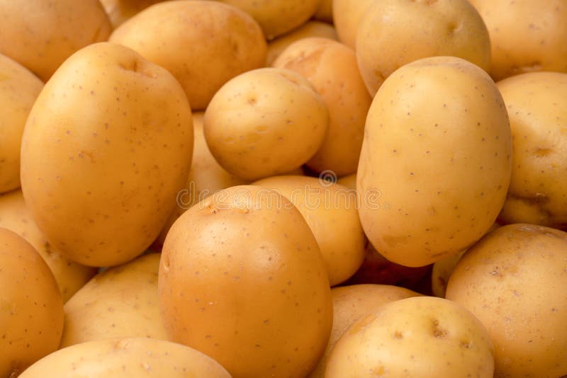 A Group of Fresh Tasty Potato As Background Stock Photo - Image of food ...