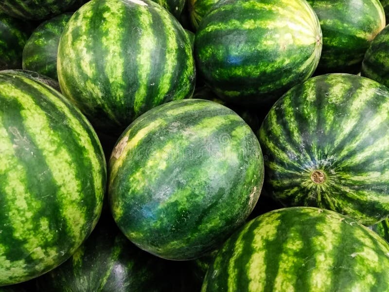 Fresh Small Round Bunch of Watermelons Stock Image - Image of ...