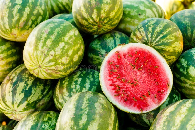 Bees Watermelon Stock Photos - Free & Royalty-Free Stock Photos from ...