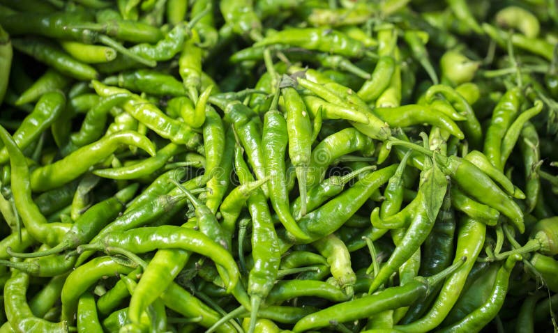 Green Chilli stock photo. Image of health, india, heap - 105556238