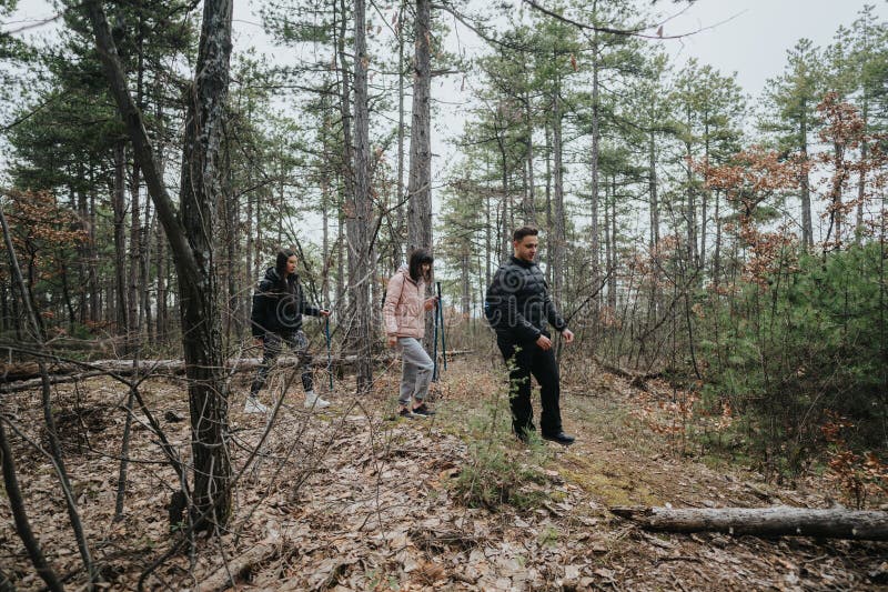 Group of Friends Exploring a Forest Trail on a Cloudy Day Stock Image ...