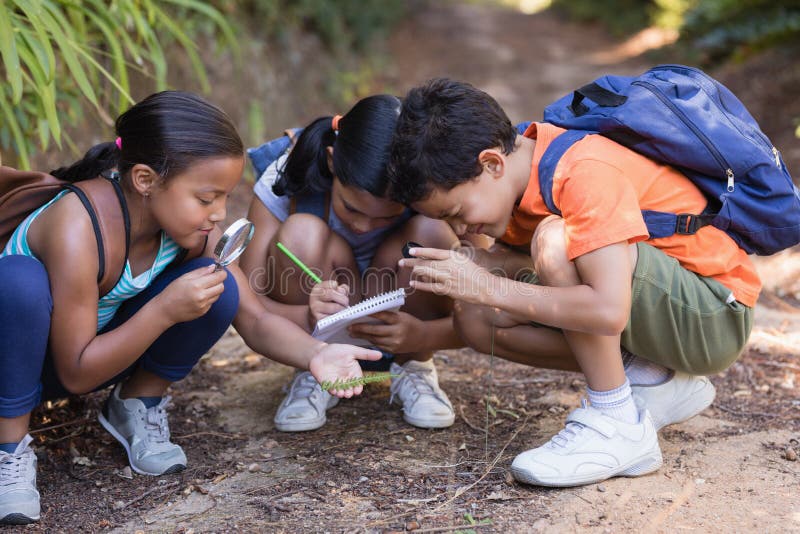 Group of Friends Exploring Nature Stock Image - Image of bonding ...