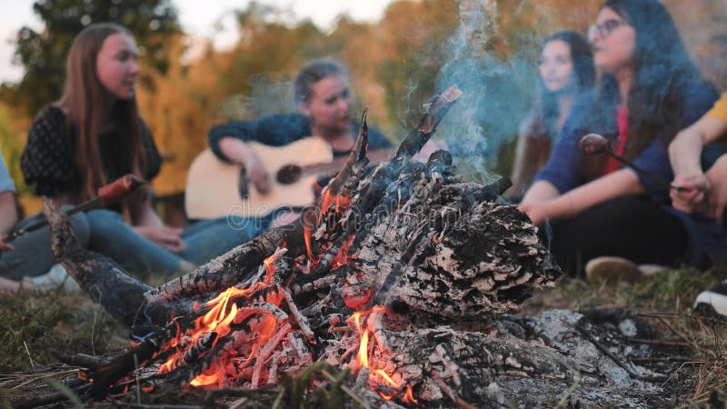 A Group of Friends with a Guitar are Sitting Around the Fire in the ...