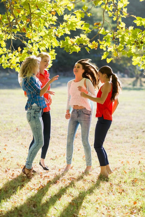 Group of Friends Having Fun in Park Stock Photo - Image of attractive ...