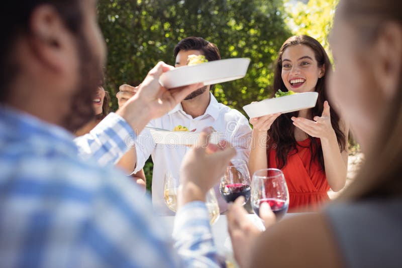 Group of Friends Having Lunch Stock Photo - Image of eating, drink ...